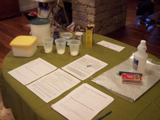 The Christmas Cookie Mystery Science Experiment for Kids - Our Journey ...