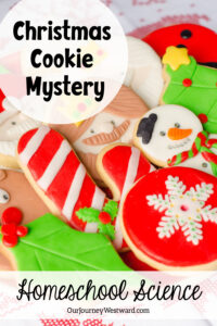 The Christmas Cookie Mystery Science Experiment for Kids - Our Journey ...