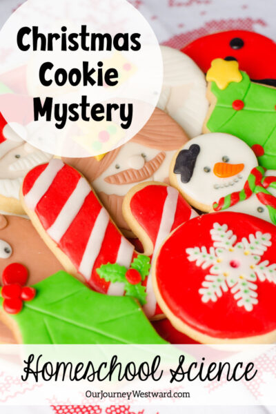 The Christmas Cookie Mystery Science Experiment for Kids - Our Journey ...
