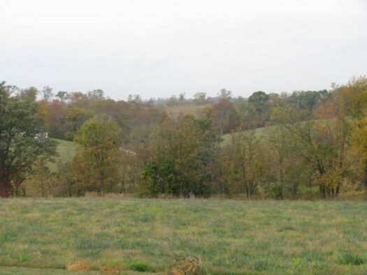 Fall Treescapes, Degas and Tchaikovsky, and 4-H - Our Journey Westward