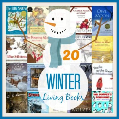 20 Excellent Winter Books for Kids of All Ages - Our Journey Westward