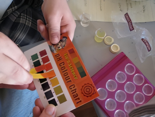 Chemistry Project for Kids