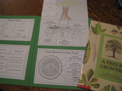 Studying Trees - Our Journey Westward