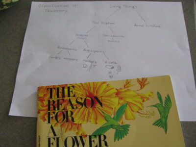 Parts of a Flower - Our Journey Westward