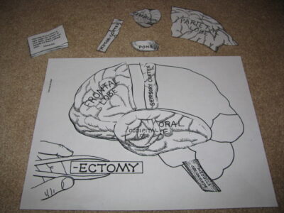 Human Body Systems - Our Journey Westward