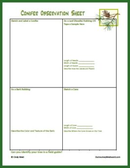 Free Nature in Your Notebook Winter Printables for Nature Study