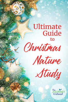 Ultimate Guide to Christmas Nature Study - Our Journey Westward