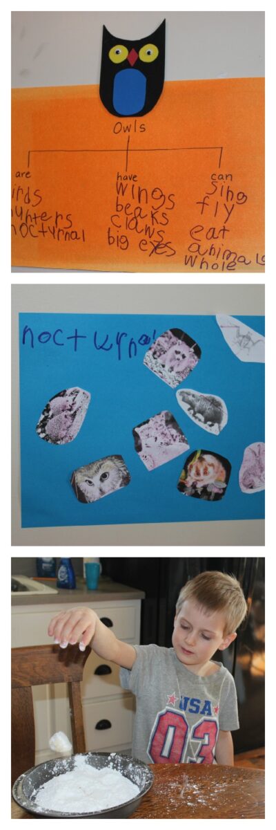 Owl Moon Activities - Our Journey Westward