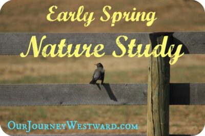 Early Spring Nature Study - Our Journey Westward
