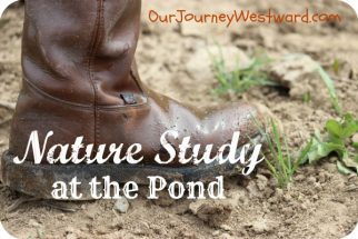 Pond Nature Study - Our Journey Westward