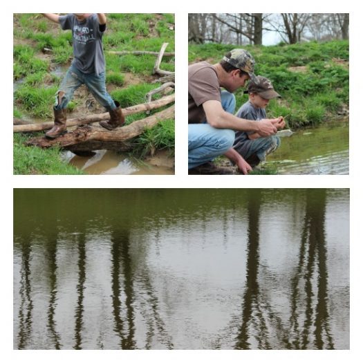 Pond Nature Study - Our Journey Westward