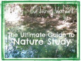 Why Nature Journals Are Important - Our Journey Westward