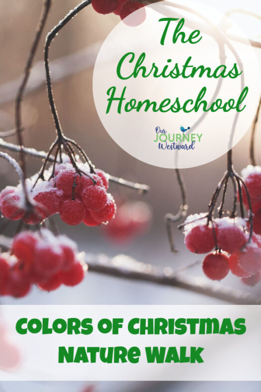 Christmas Nature Study: A Red, Green and White Walk - Our Journey Westward