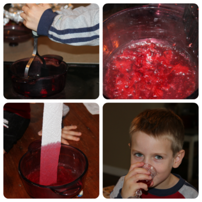 Cranberry Science Experiments for Kids + Literature Connections