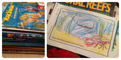 An Interest-Based Homeschool Ocean Study