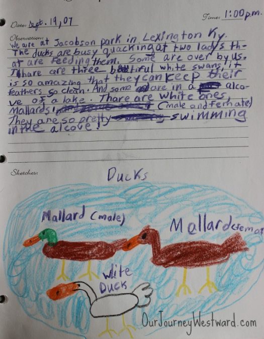 Why Nature Journals Are Important - Our Journey Westward