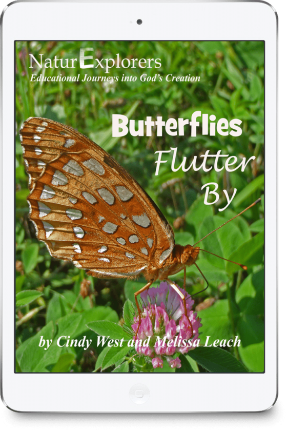 Butterfly Nature Study: Homeschool Science Curriculum