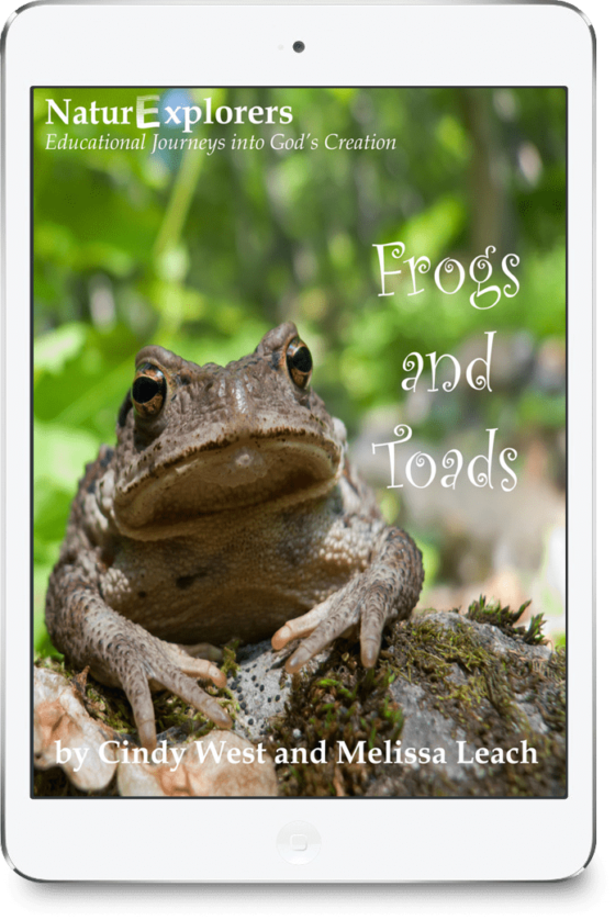 Frog Nature Study: Homeschool Science Curriculum