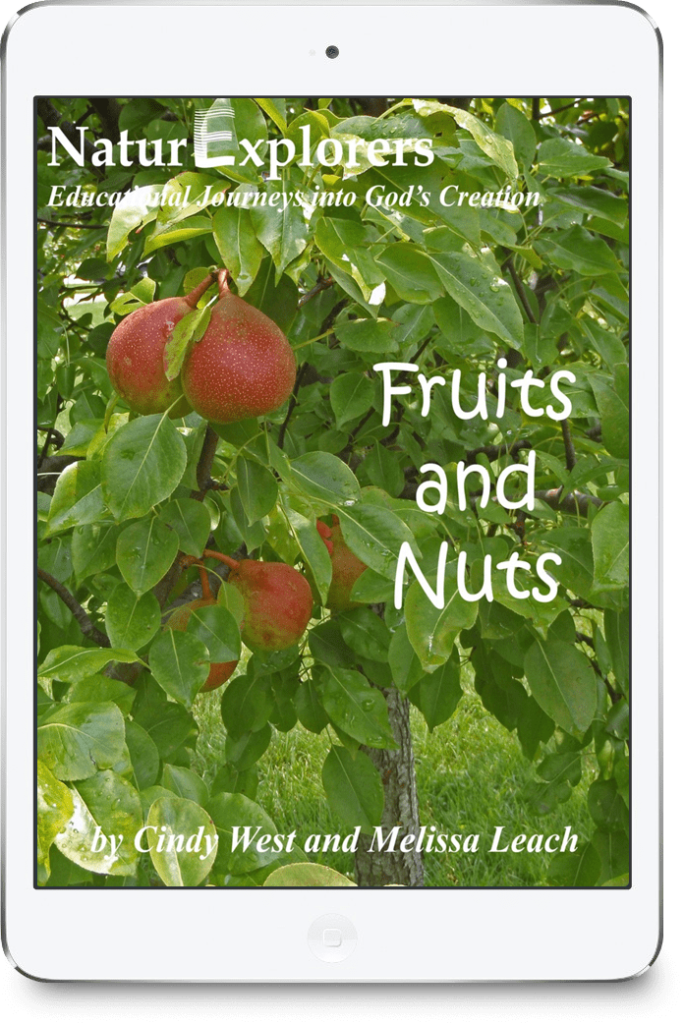 Fruit Nature Study: Homeschool Science Curriculum