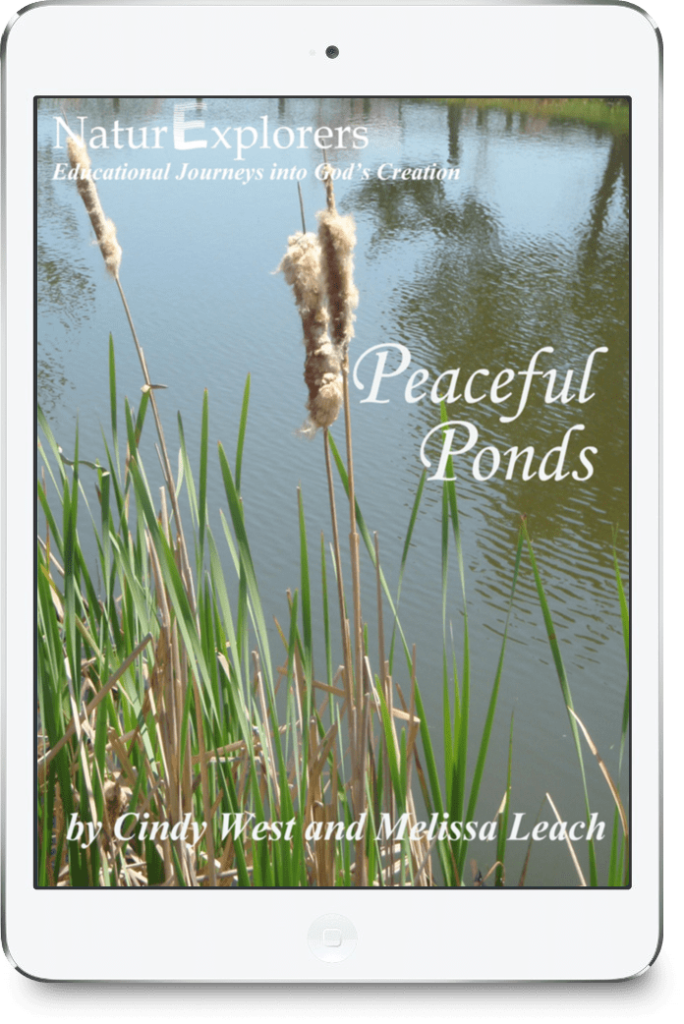 Pond Nature Study - Science Curriculum