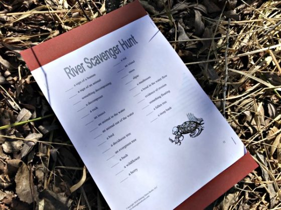 A Day in the Life: Hands-On Nature Study at the Creek