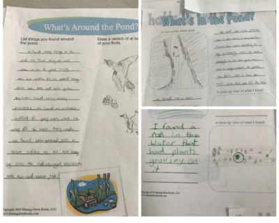 Discovering Pond Habitats: How To Do Nature Study in Real Life