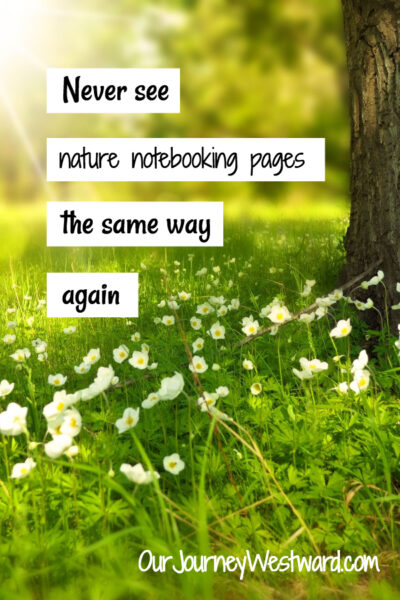 You'll Never Look at Nature Notebooking Pages the Same Way Again