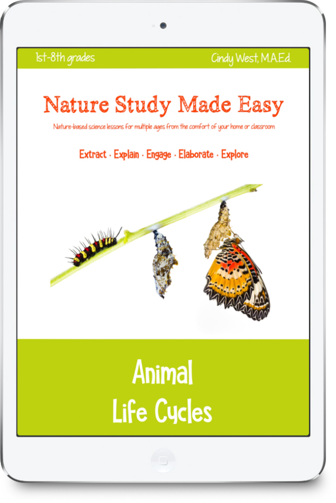 Animal Life Cycles Curriculum - No Sweat Nature Study
