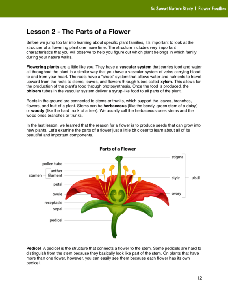 Flower Families Science Curriculum: Our Journey Westward