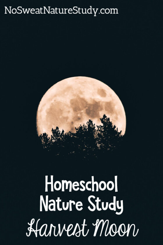 Homeschool Nature Study: The Harvest Moon