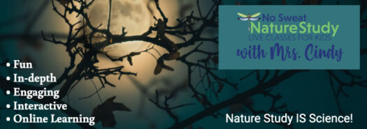 Homeschool Nature Study: The Harvest Moon