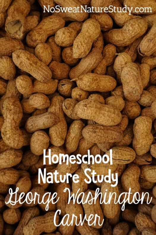 Homeschool Nature Study: George Washington Carver