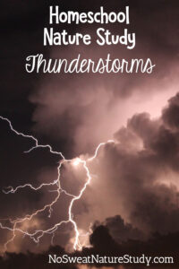 Homeschool Nature Study: Thunderstorms