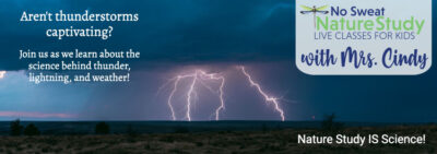 Homeschool Nature Study: Thunderstorms