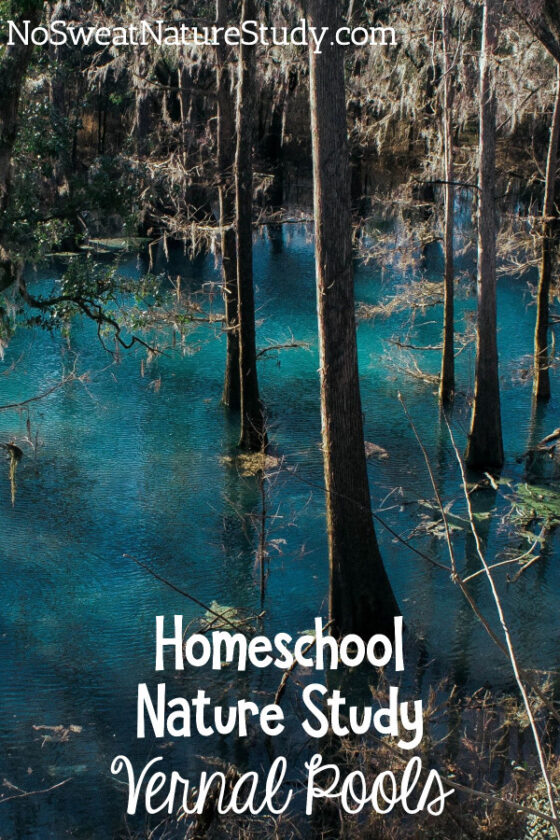 Homeschool Nature Study: Vernal Pools