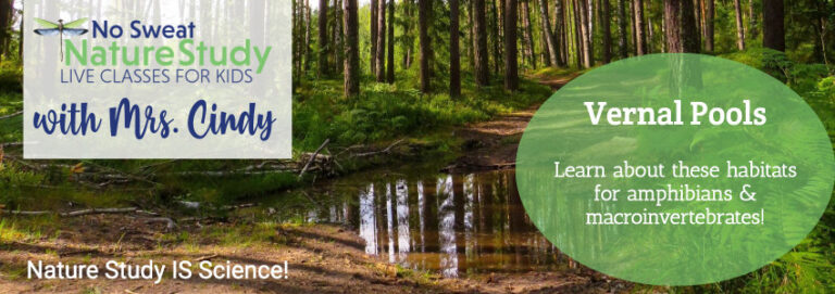 Homeschool Nature Study: Vernal Pools