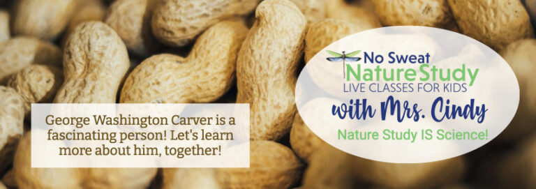 Homeschool Nature Study: George Washington Carver