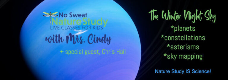 Homeschool Nature Study: Planets and the Winter Night Sky