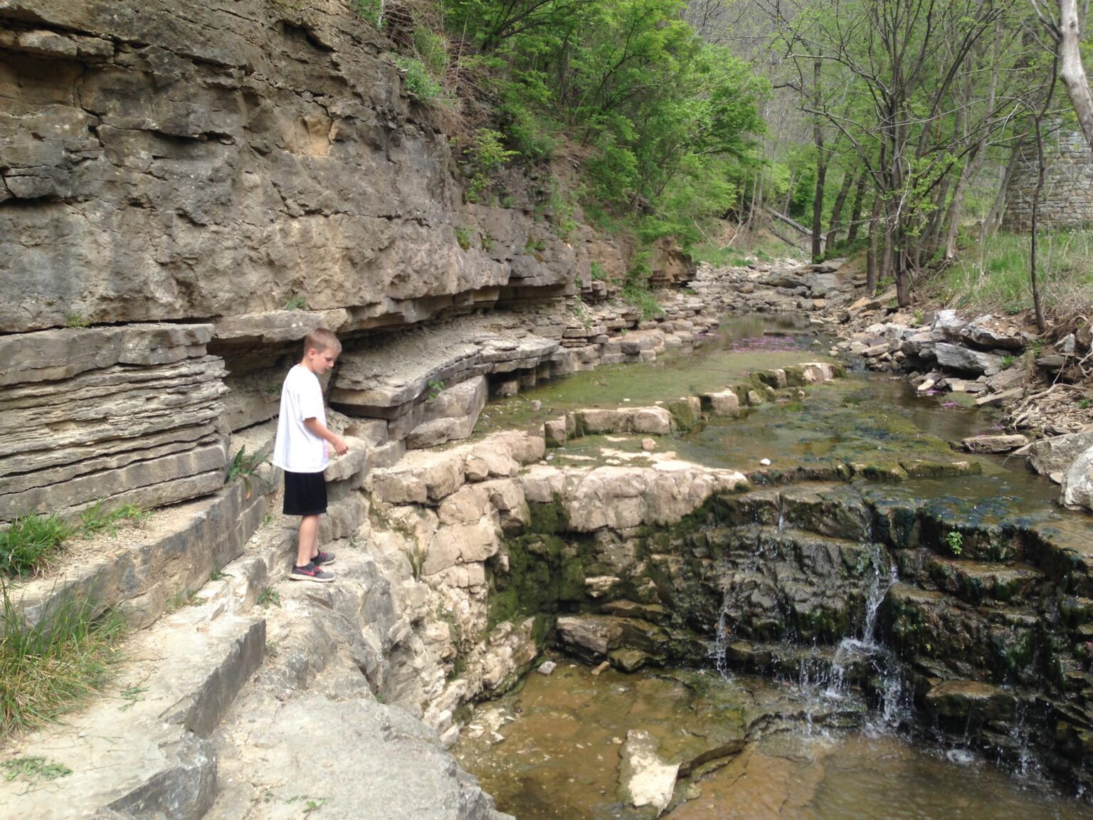 Homeschool Nature Study: Vernal Pools