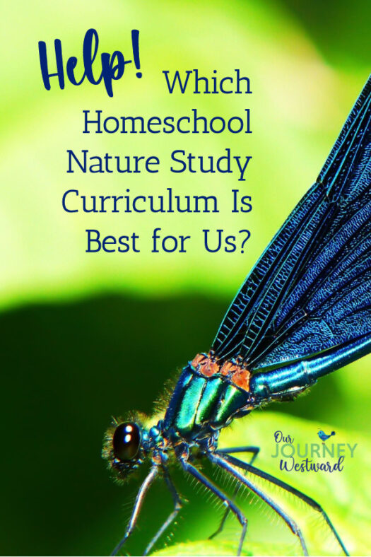 Which Homeschool Nature Study Curriculum is Right for Us? - Our Journey ...