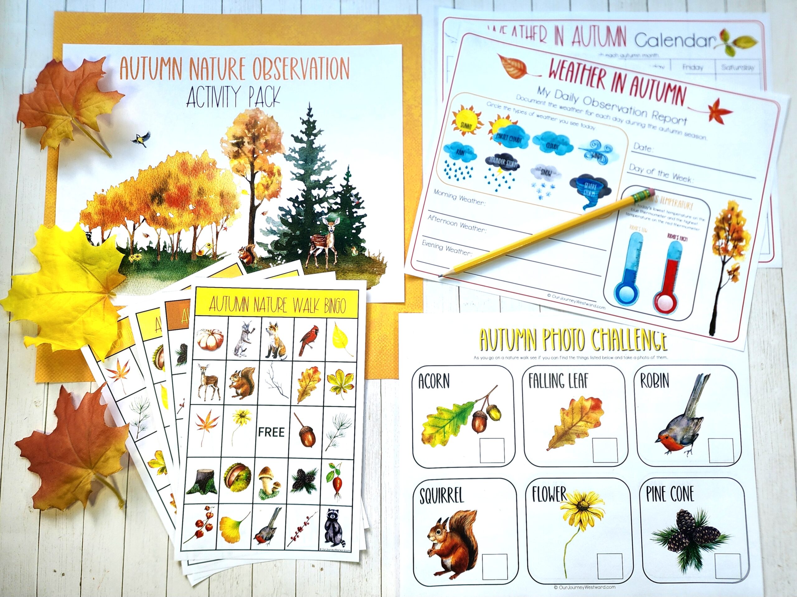 Autumn Nature Study Free Printable for Your Homeschool
