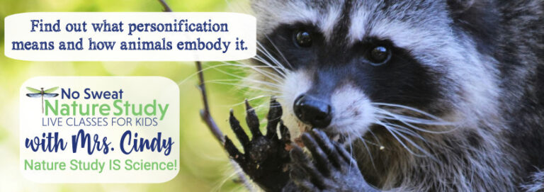 Homeschool Nature Study: Animal Personification