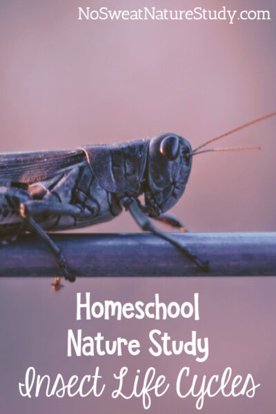 No Sweat Nature Study Podcast with Cindy West