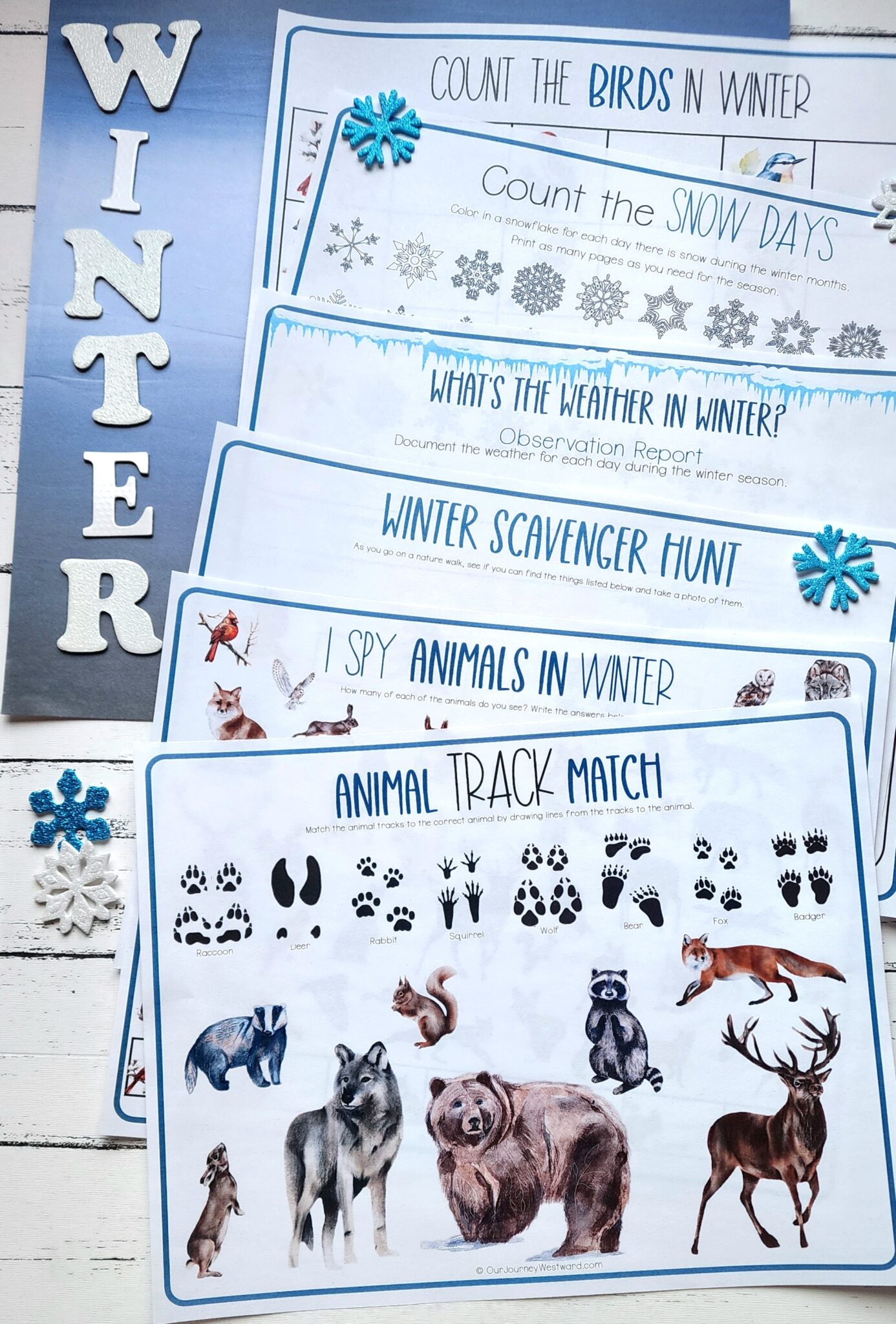 6 Fun Activities: Free Winter Nature Study Printable Packet