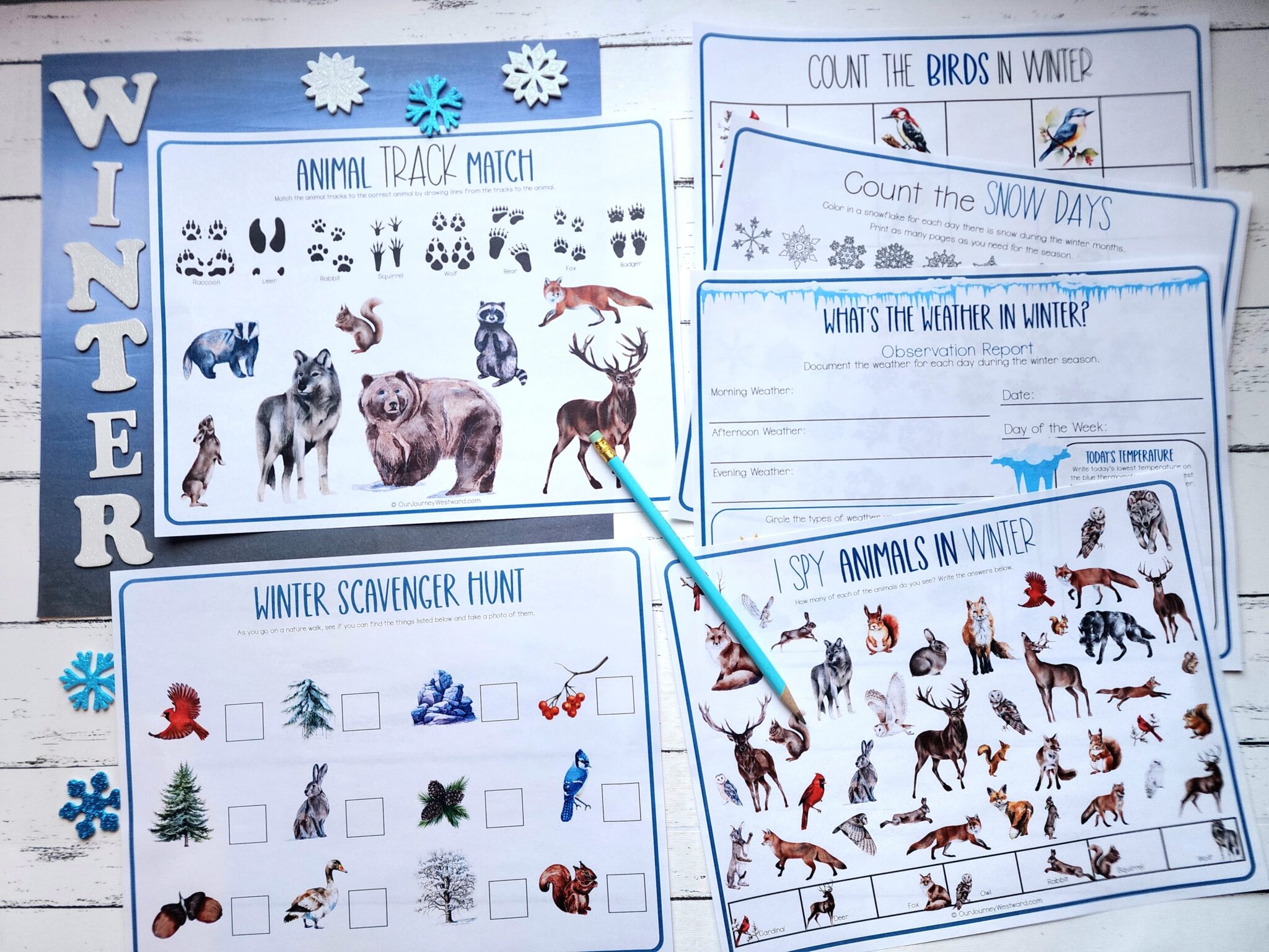 Winter Nature Study Printable Packet