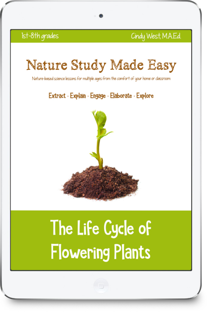 Flower Life Cycle Homeschool Science Curriculum