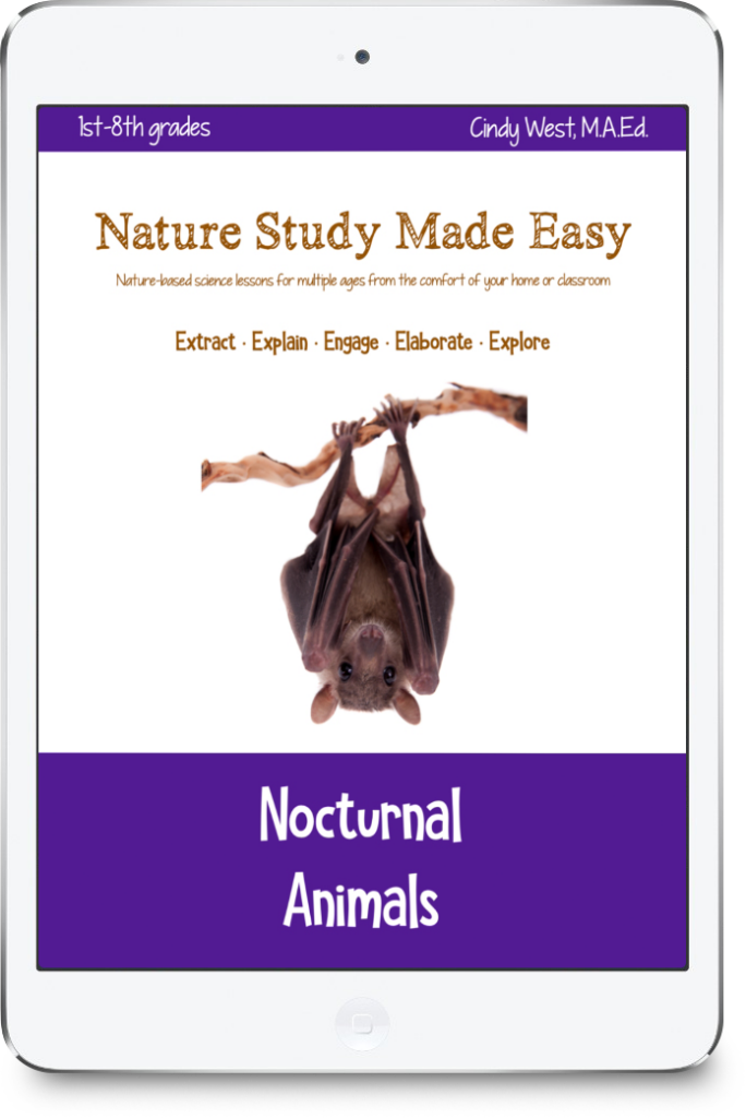 Nocturnal Animals Nature Study: Science Curriculum
