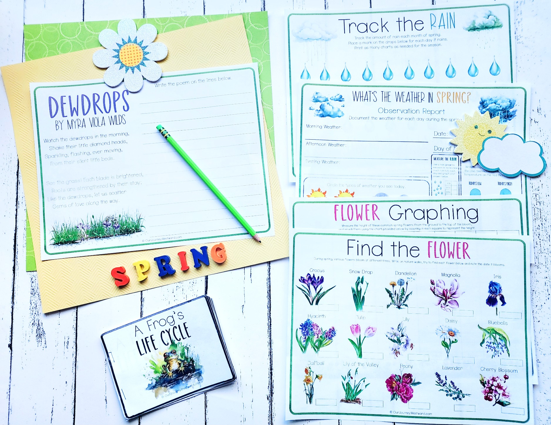Free Spring Nature Study Printable Packet for Homeschoolers