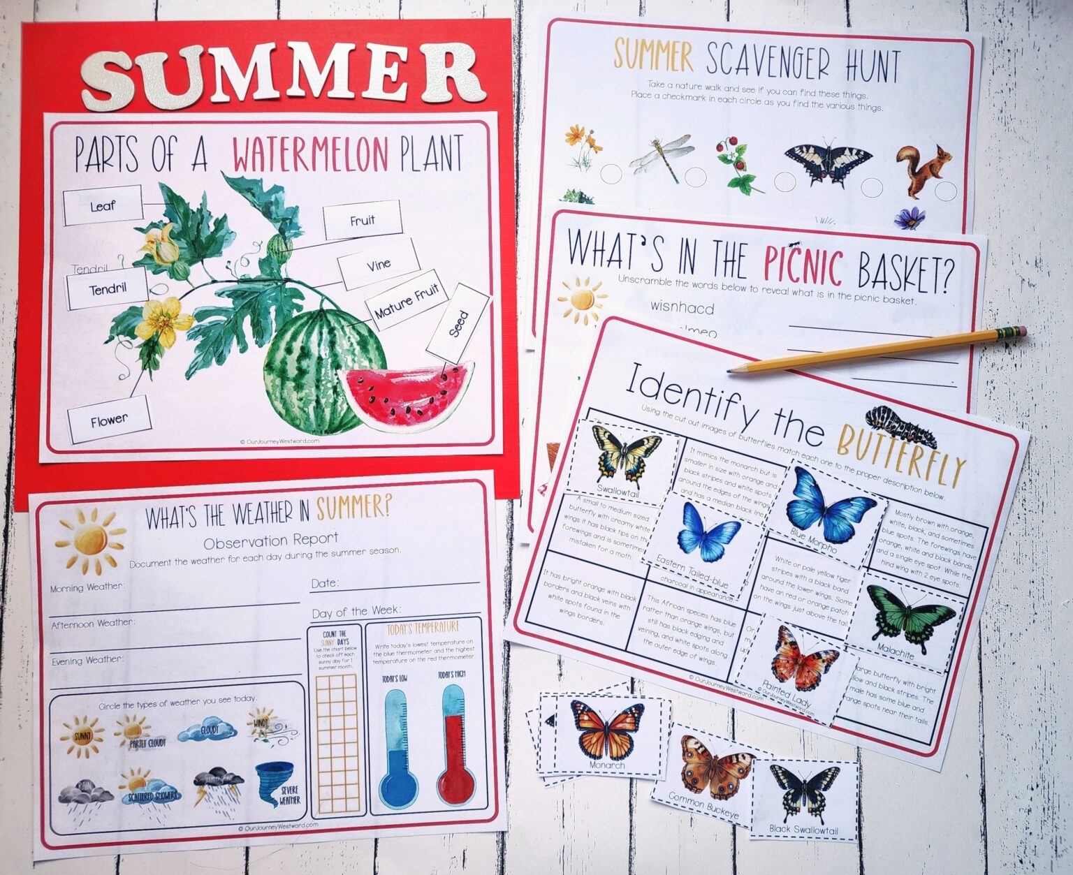 Free Summer Nature Study Printable Packet for Homeschoolers - Our ...