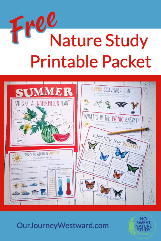 Free Summer Nature Study Printable Packet for Homeschoolers - Our ...